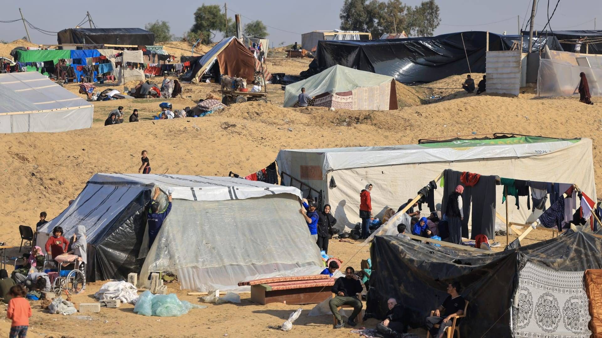 جسور بوست بين الخيام تقرير فلسطيني يوثق معاناة النازحين في غزة